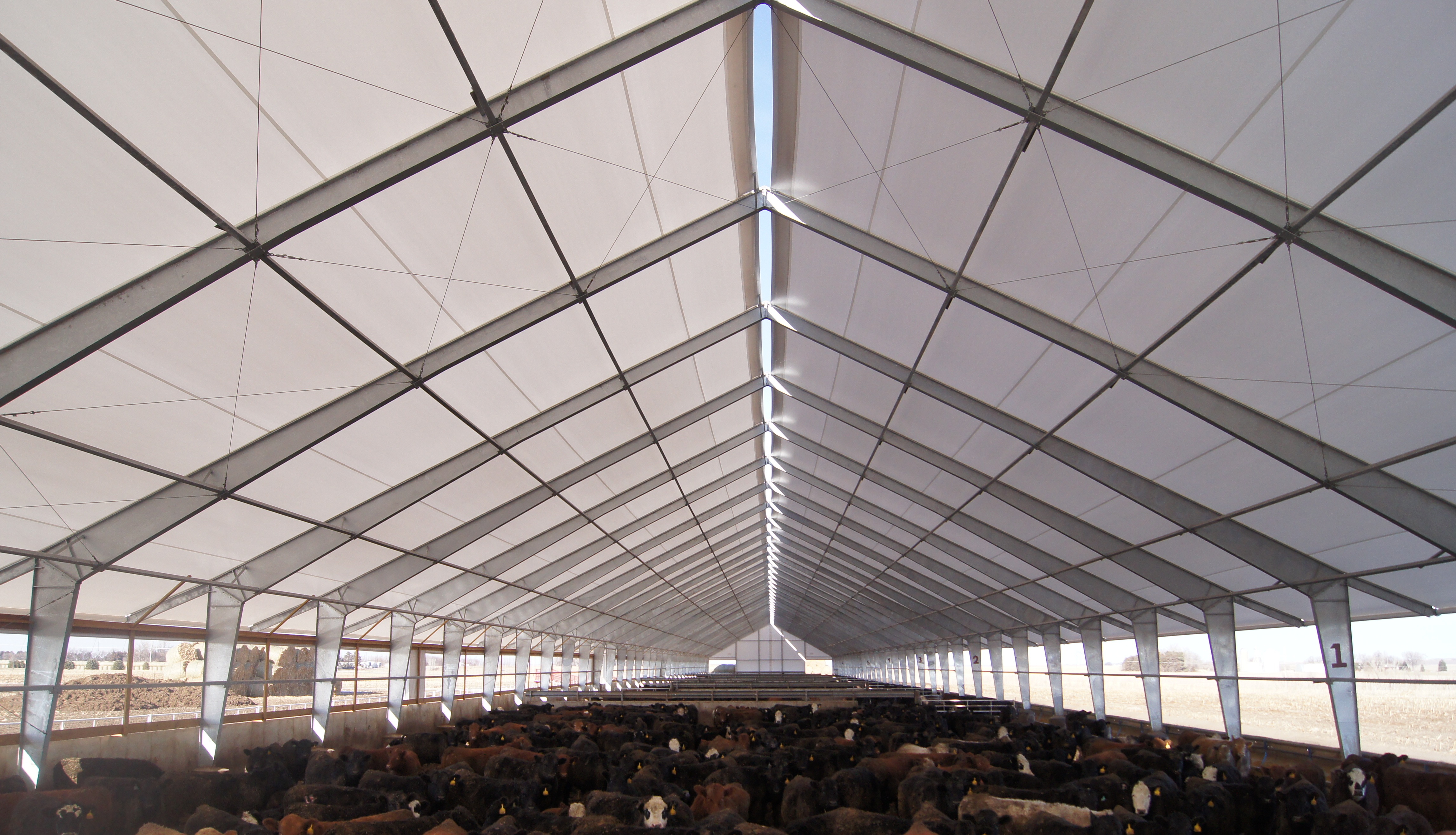 Legacy Offers Tension Fabric Buildings | Farmers Hot Line